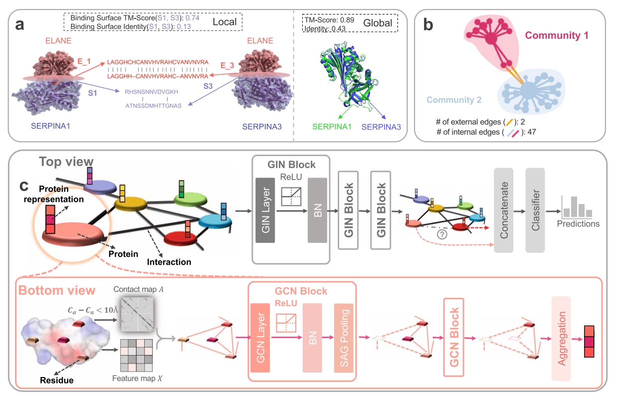 Hierarchical Graph Learning For Proteinprotein Interaction Data Science And Analytics Thrust
